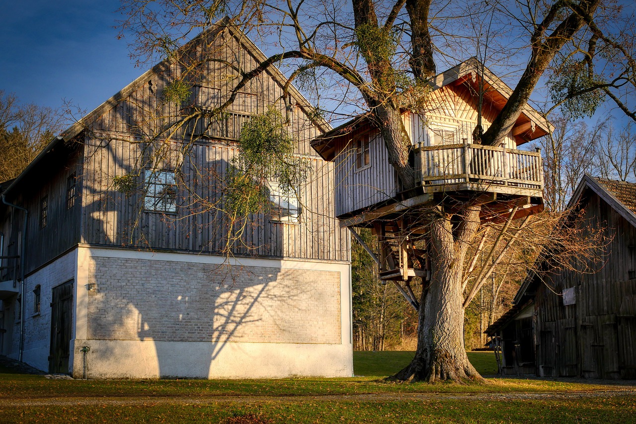 Modernes Baumhaus mit Technik bauen - Ideen und Tipps - Wald2011